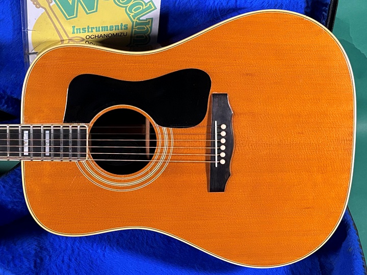 GUILD D-55 NT 1979